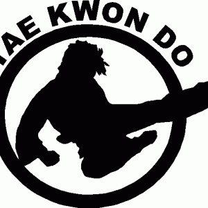 Tae Kwon Do Decal - Pro Sport Stickers