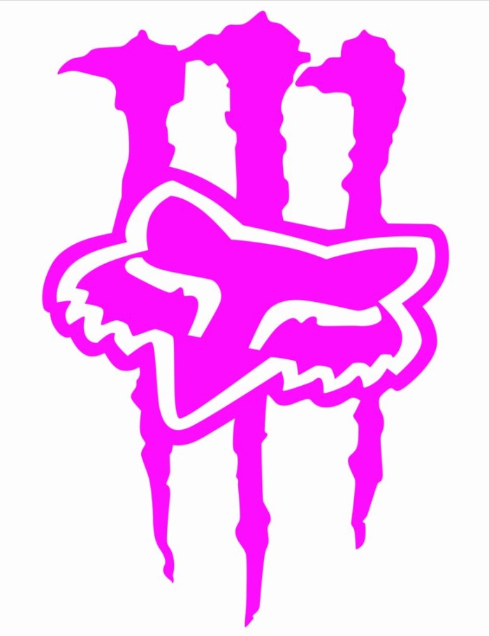 Fox Motocross Logo Pink
