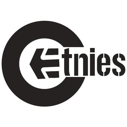 Etnies Footwear Logo - Pro Sport Stickers