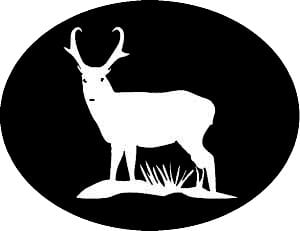 Antelope Oval Decal - Pro Sport Stickers