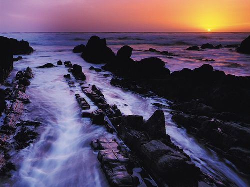 Beaches and Coastal Vinyl Wall Graphics 119 - Pro Sport Stickers