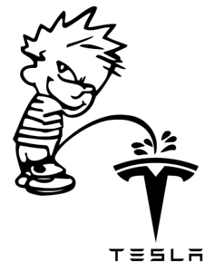 PEEON TESLA FUNNY CAR DIE CUT DECAL - Pro Sport Stickers
