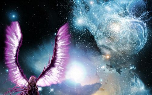 Fairies and Fantasy Wall Graphics 058 - Pro Sport Stickers