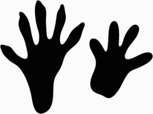 Animal Tracks Vinyl Decals 2 - Pro Sport Stickers