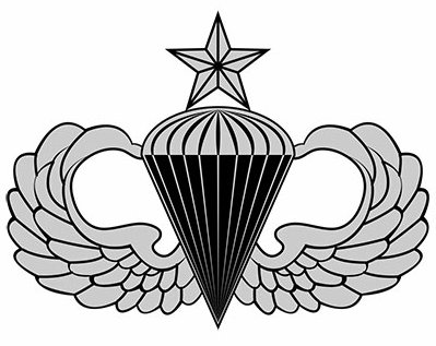 Jump Wings Logo Senior Sticker - Pro Sport Stickers